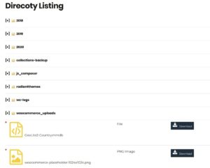 How to display Directory storage files & folders on Frontend - WP ...