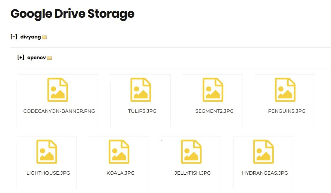 How To Display Google Drive Storage Files & Folders On Frontend - WP ...