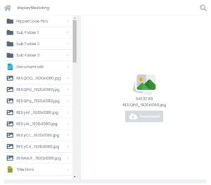 Show Files & Folders Listing from Web Server - WP Display Files
